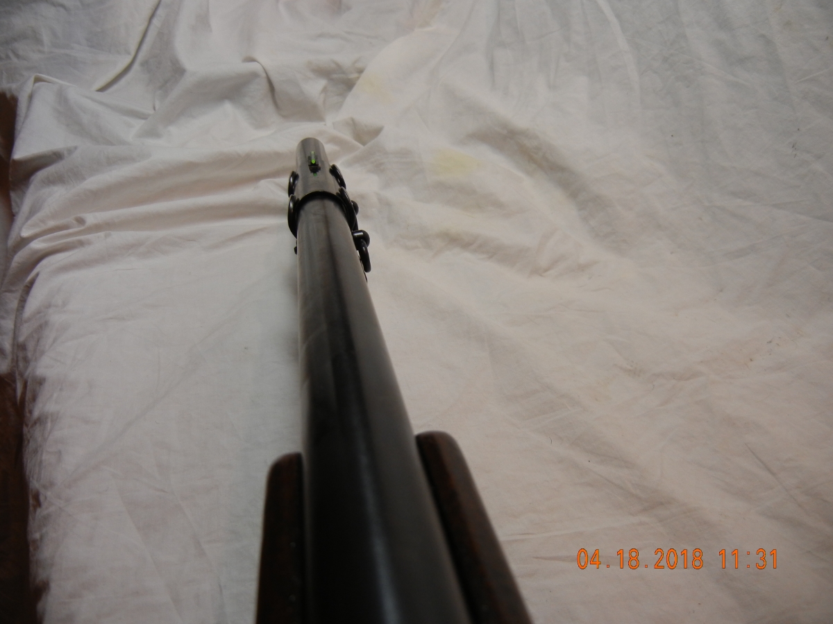Savage Arms Savage 755 Semi Auto Shotgun. (10 Shot) 12 Ga For Sale at ...