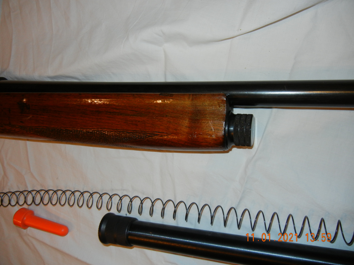 Savage 755 12 GA 17235065 - GunAuction.com