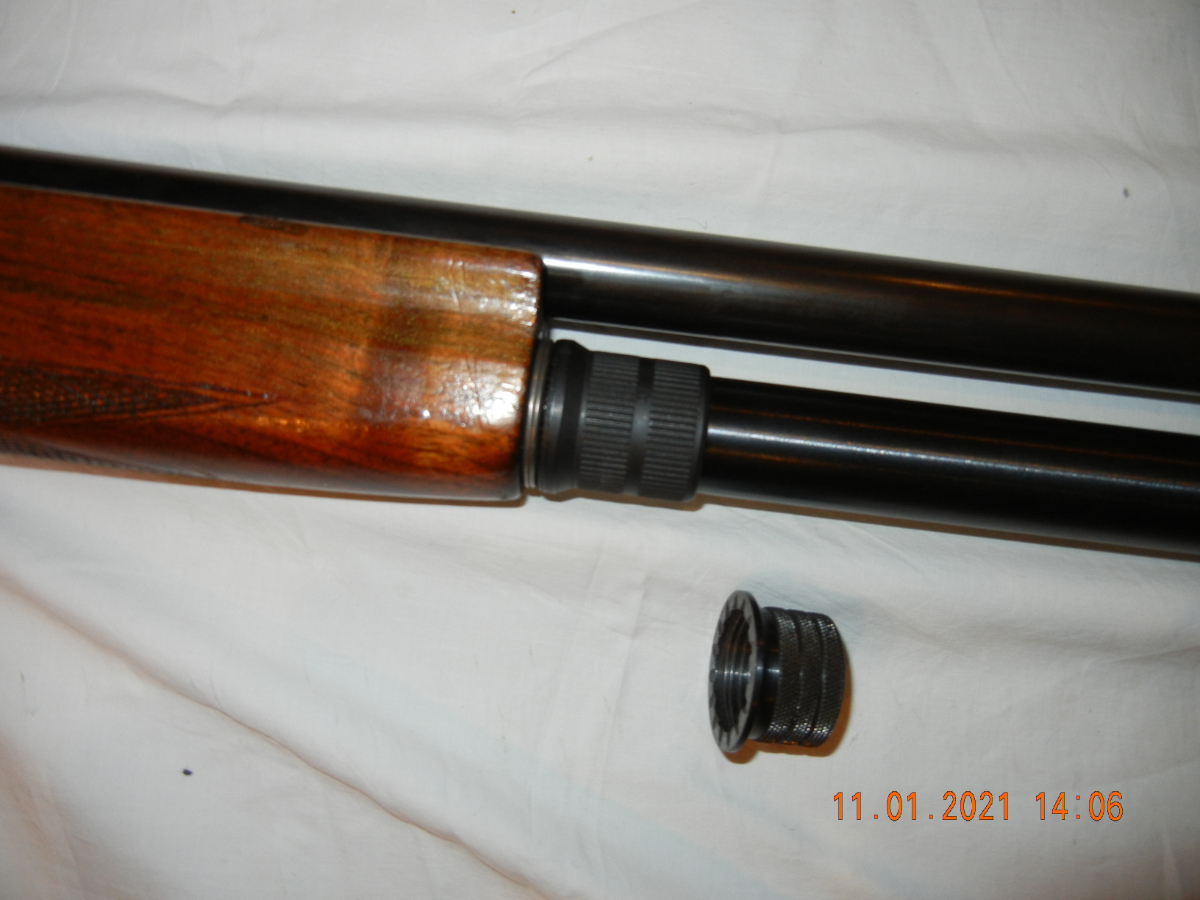 Savage 755 12 GA 17235065 - GunAuction.com