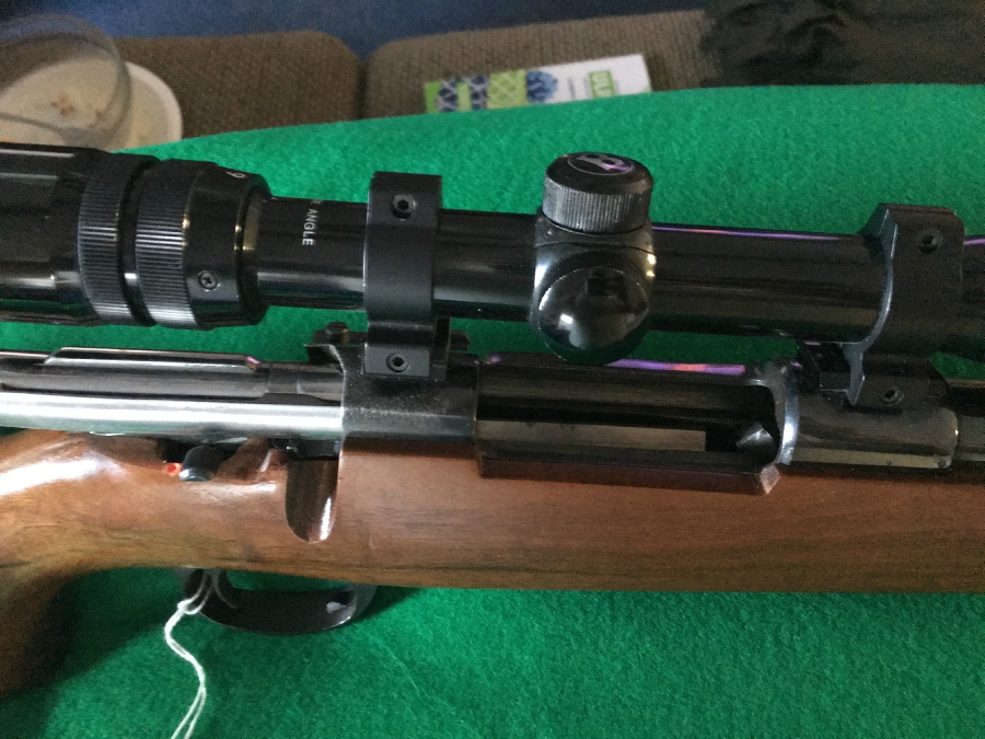 Payment and Shipping Instructions: