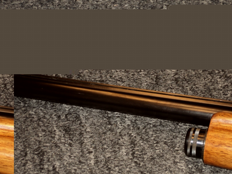 Yamamoto-Ssg 12 Ga. Auto-Pointer For Sale at GunAuction.com - 11215690