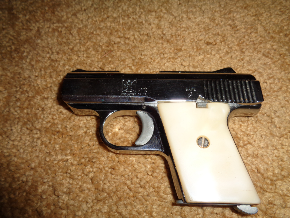 Raven Arms Mp-25 Chrome .25 Acp For Sale at GunAuction.com - 17273333