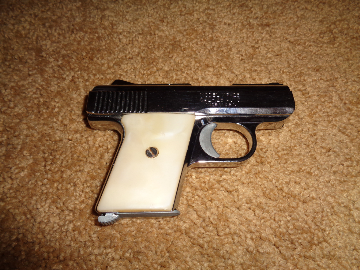 Raven Arms Mp-25 Chrome .25 Acp For Sale at GunAuction.com - 17273333