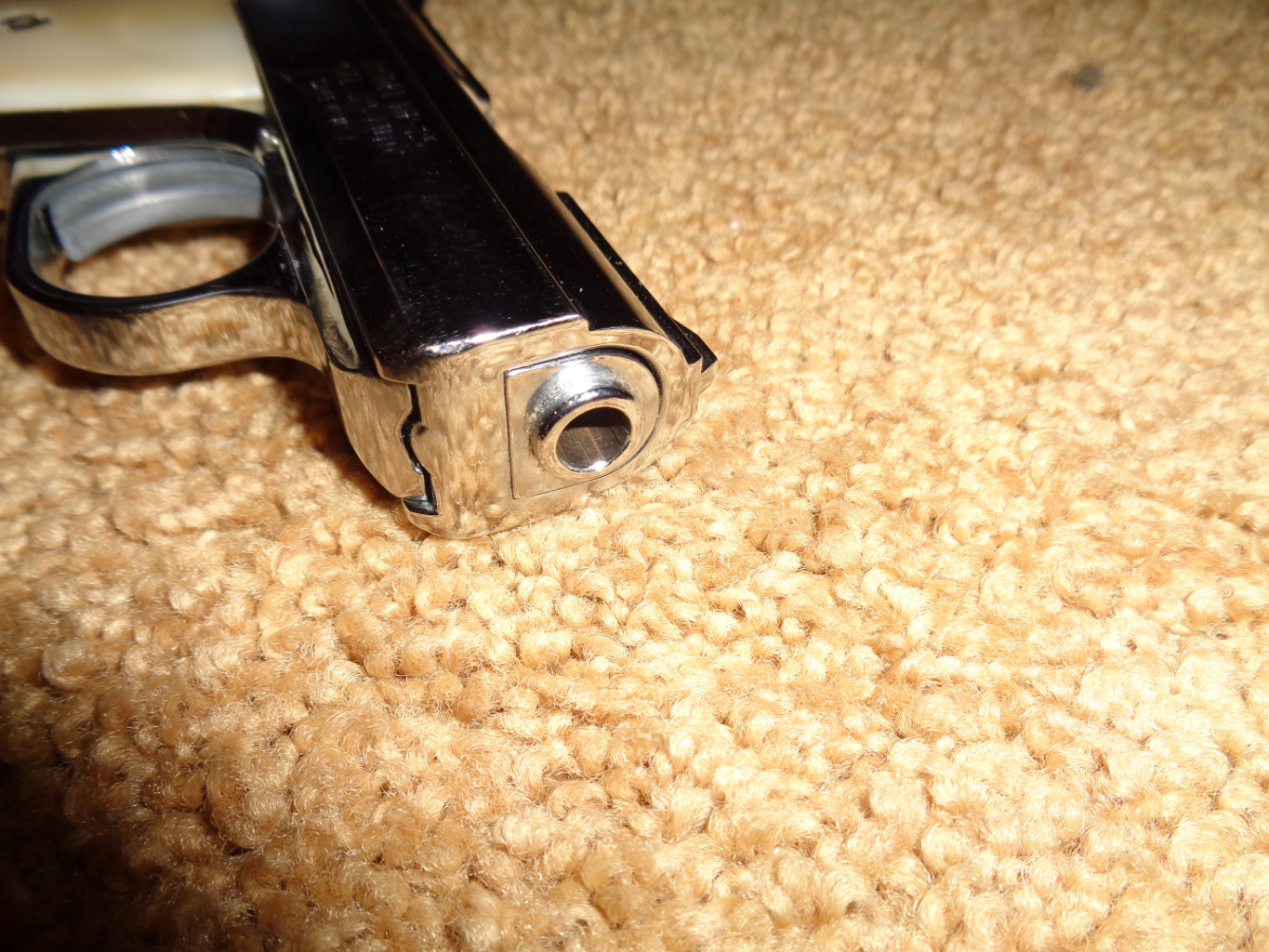 Raven Arms Mp-25 Chrome .25 Acp For Sale at GunAuction.com - 17273333