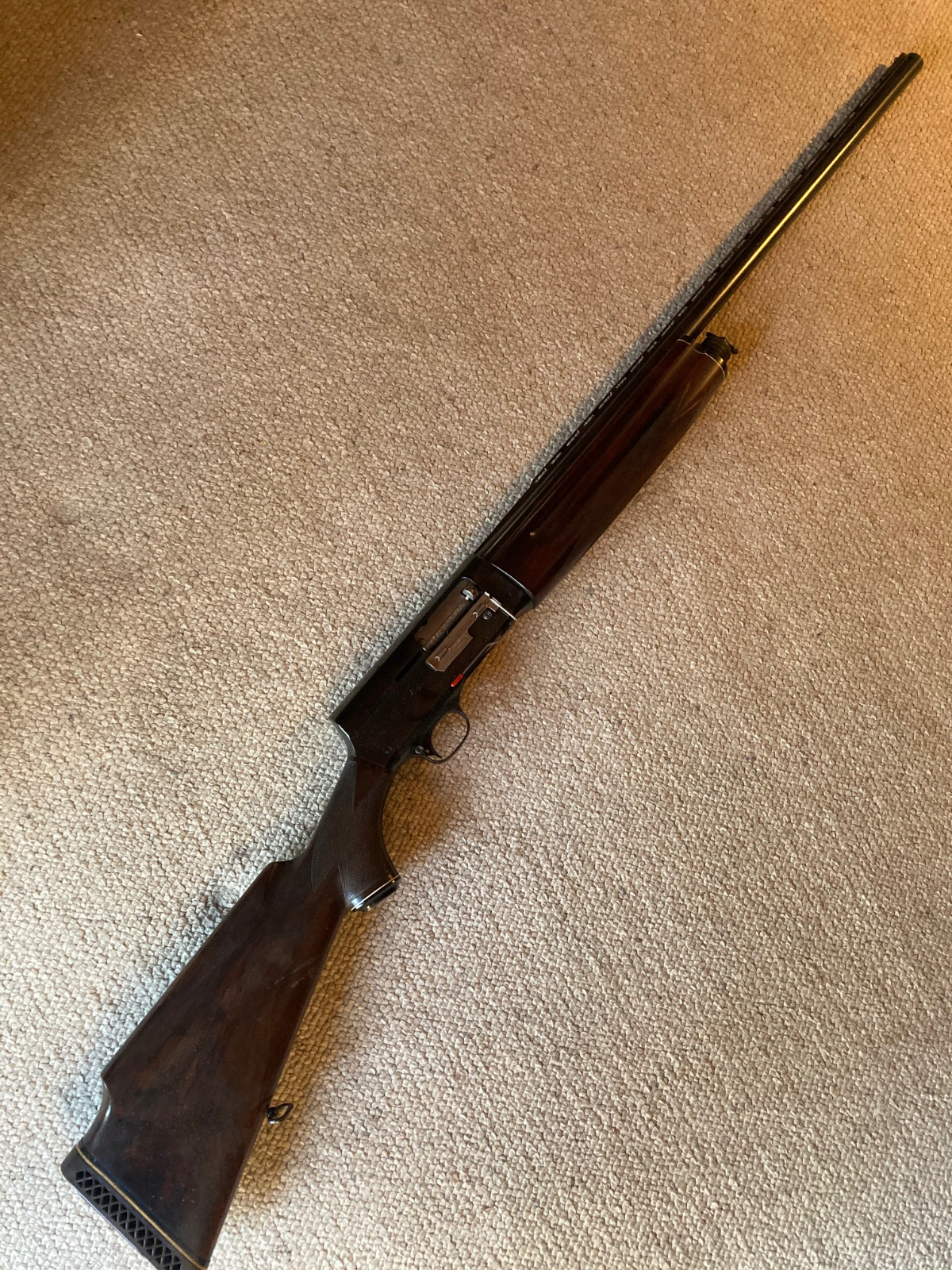 Remington Rem Semi Auto 12ga 12 Ga For Sale at GunAuction.com - 17257519