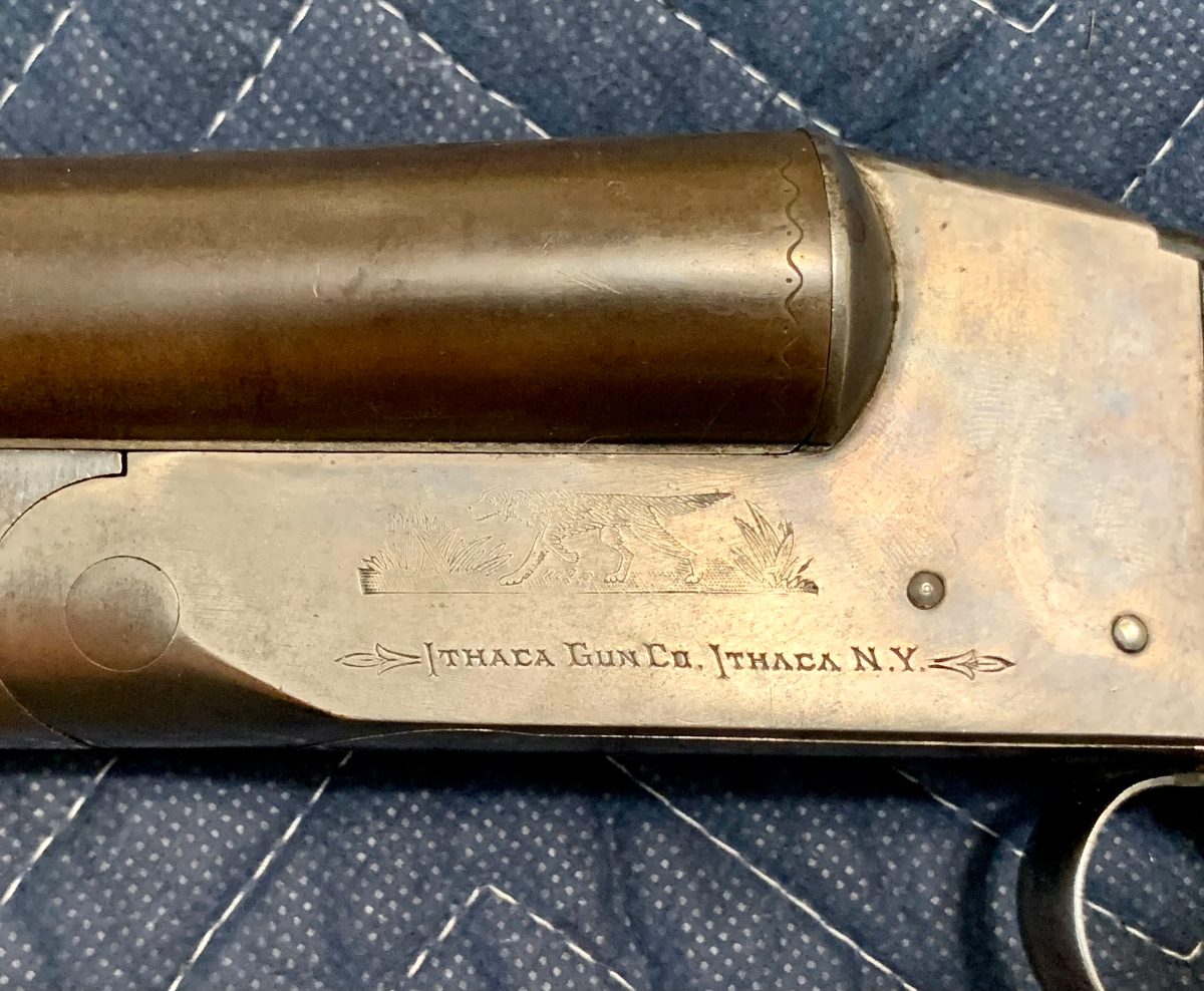 Ithaca Flues Double Barrel Shotgun 12 Ga For Sale at GunAuction.com ...