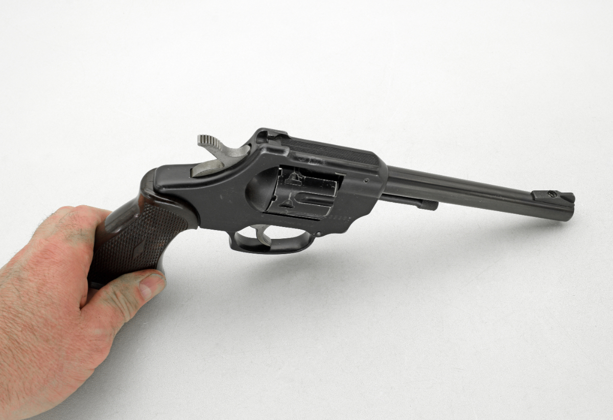 Firearms International Regent Double Action Revolver 8 Shot Caliber 22 ...