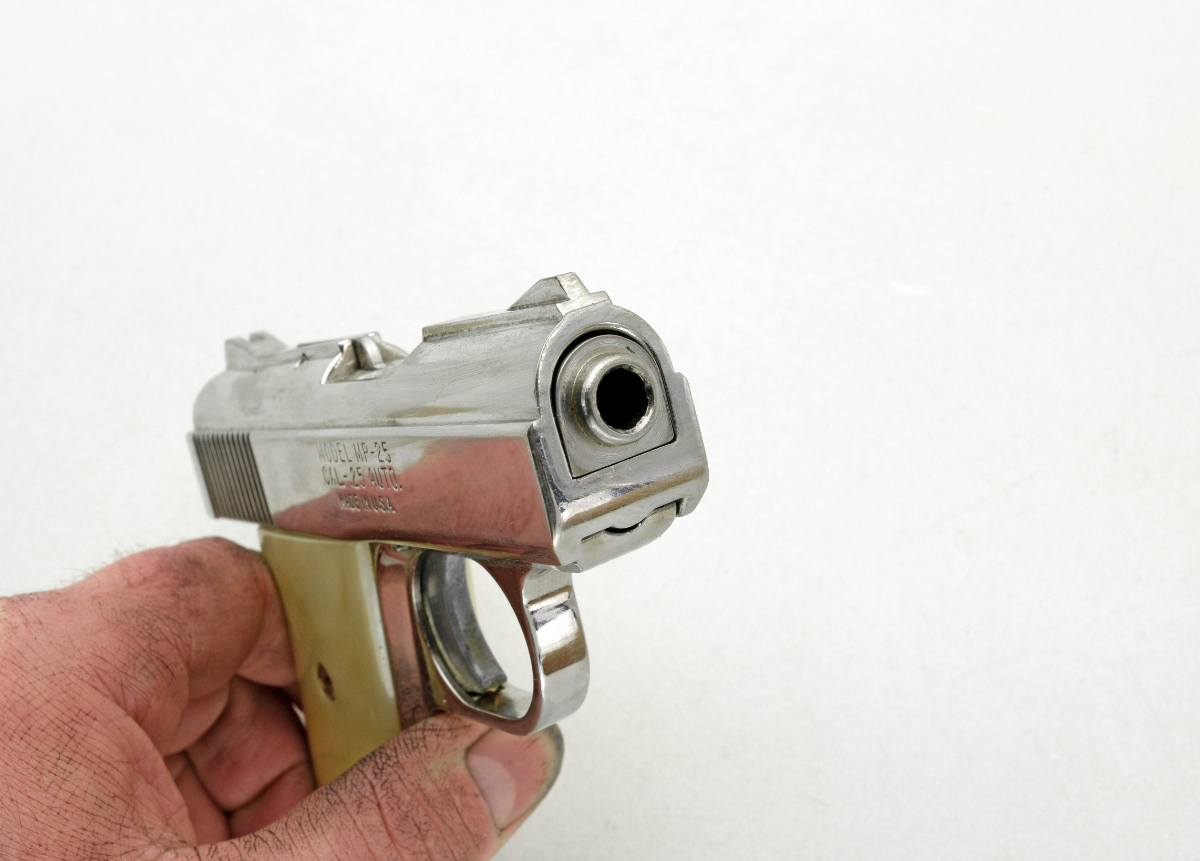 Raven Arms Model Mp-25 Semi-Auto Pistol Caliber 25 Auto .25 Acp For ...