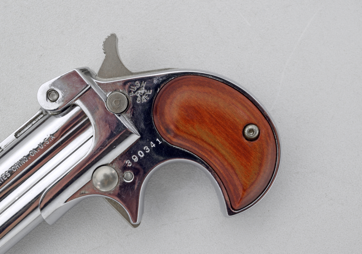 Davis Industries DM-22 DERRINGER CALIBER 22 MAGNUM .22 Magnum 17346299 ...