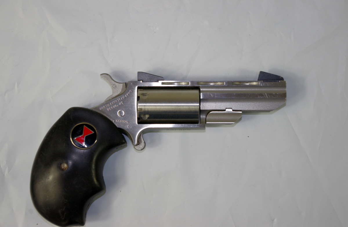 North American Arms Black Widow Model 2" Rubber Grip3 Dot Sightsgreat ...
