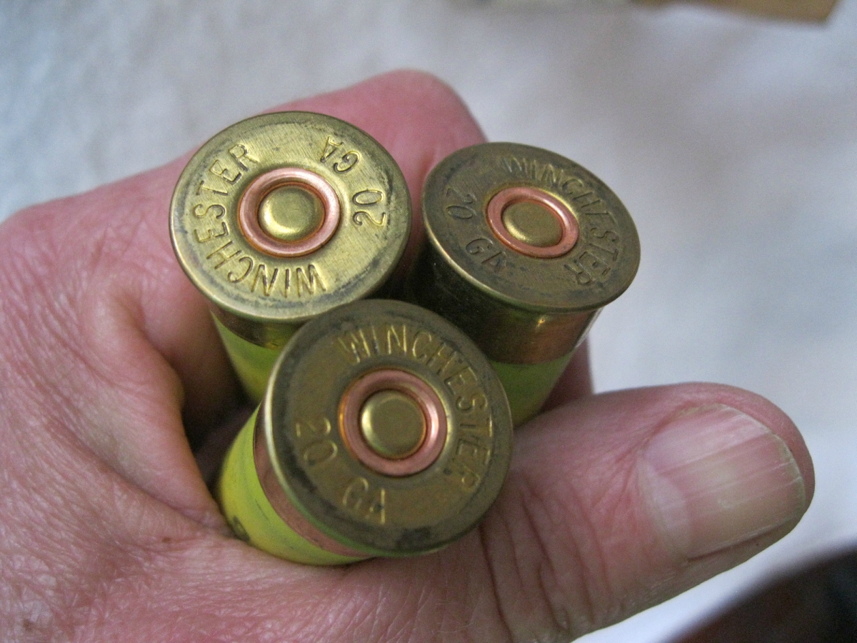 Winchester 20 Gauge Squirrel & Rabbit Shotgun Shells 24 Count 2 3/4 ...