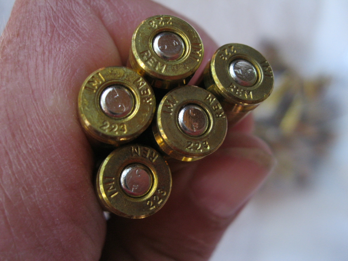 .223 Remington Imi .223 New Primed Brass Cartridge Cases 100 Count ...