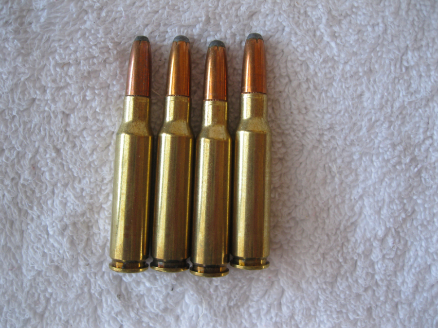 .308 Winchester 180 Grain Power Point Sp Saami Reference Ammunition ...