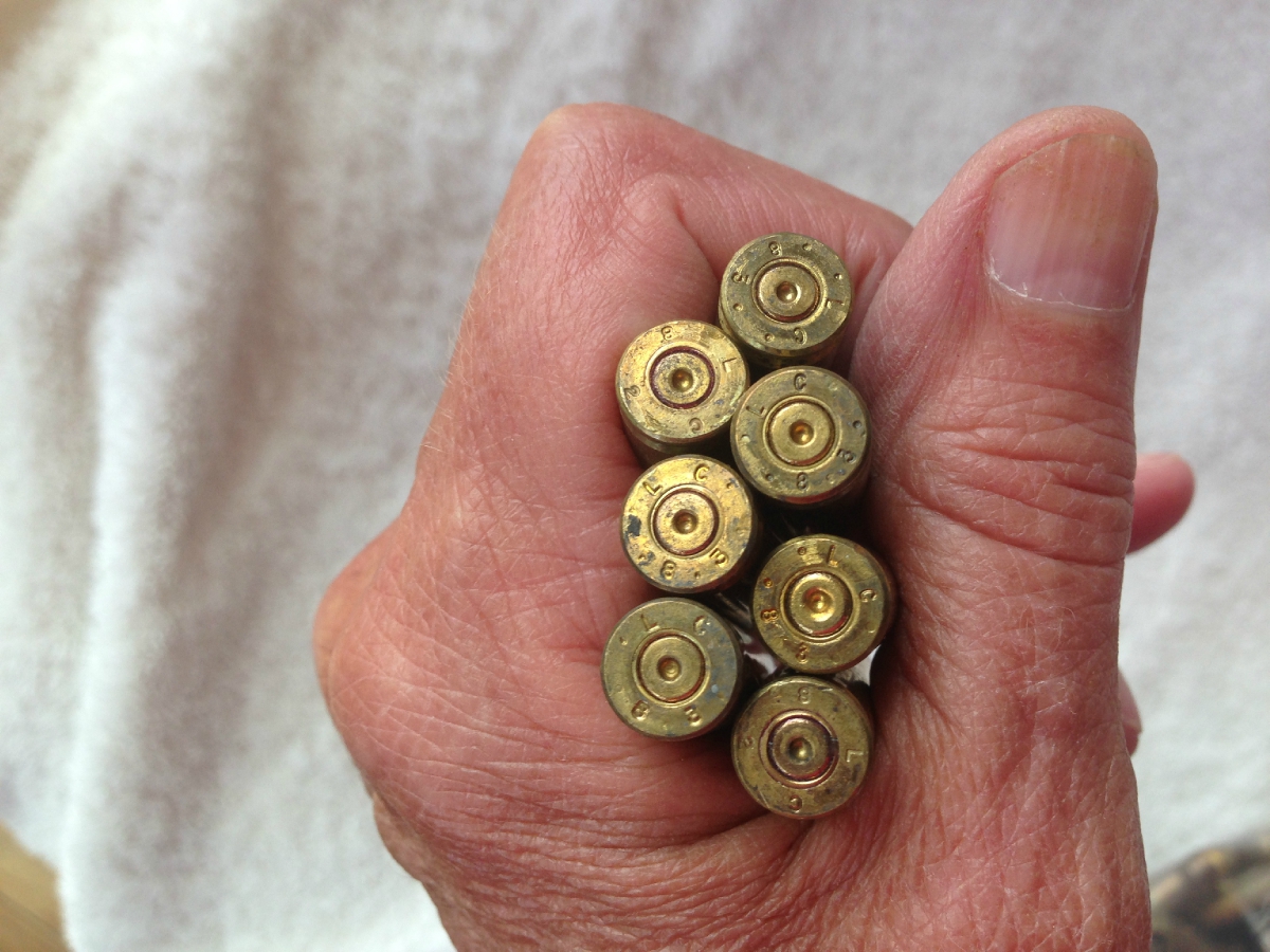 Pictures: LAKE CITY .223 ONCE-FIRED BRASS CARTRIDGE CASES 346 COUNT ...