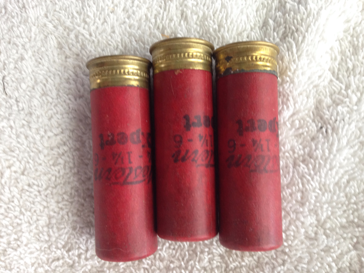 Western Cartridge Company WESTERN XPERT 10 GAUGE SHOTGUN SHELLS 3 count ...