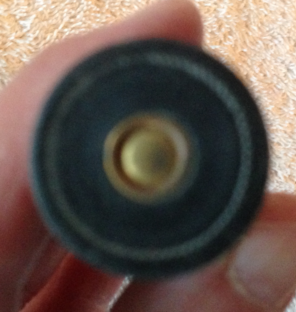 Pictures: UNBRANDED NEW PRIMED 12 GAUGE BLACK RIBBED PLASTIC SHOTGUN ...