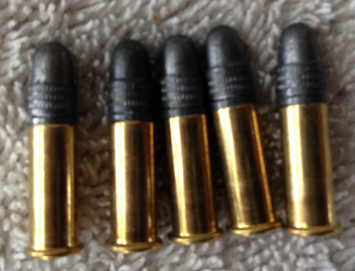 Winchester Wildcat 22 High Velocity Long Rifle 22 Lr Ww22lr Ammunition ...