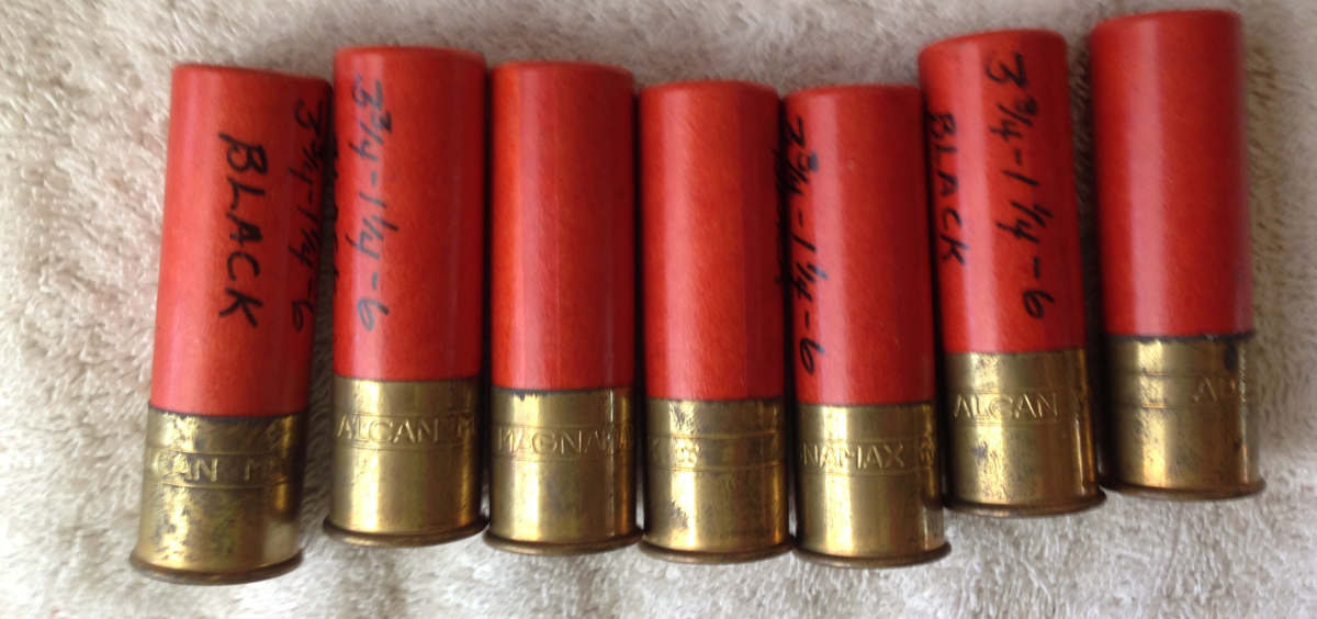 ALCAN 10 GAUGE BLACK POWDER 3 3/4 - 1 1/4 - 6 SHOTGUN AMMUNITION 2 7/8 ...