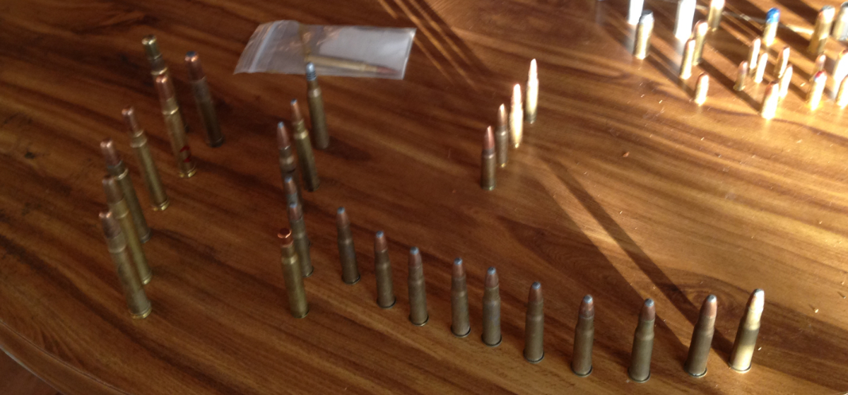 Variety Pack Collectible Rifle Ammunition 31 Count / 1103-3 .31 Caliber ...