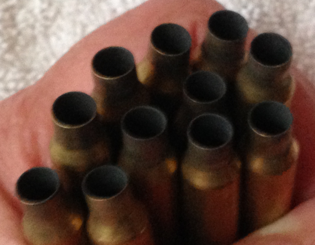 Federal .223 Rem Brass Cartridge Cases 7 Primed 17 Once Fired 24 Count ...