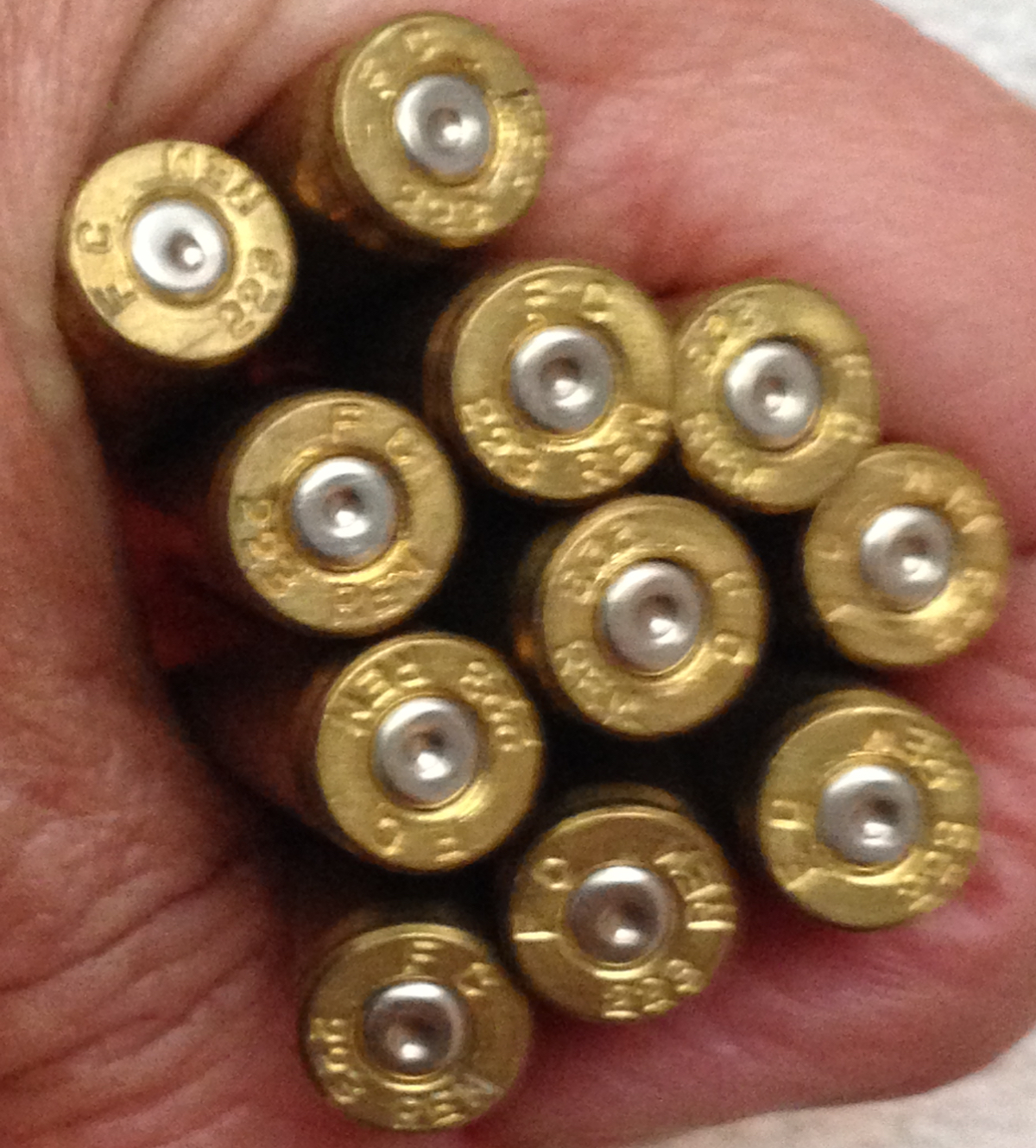 Federal .223 Rem Brass Cartridge Cases 7 Primed 17 Once Fired 24 Count ...