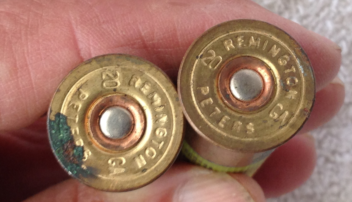 Remington Express 6 20 Gauge Power Piston Magnum Shotgun Shells 2 Count ...