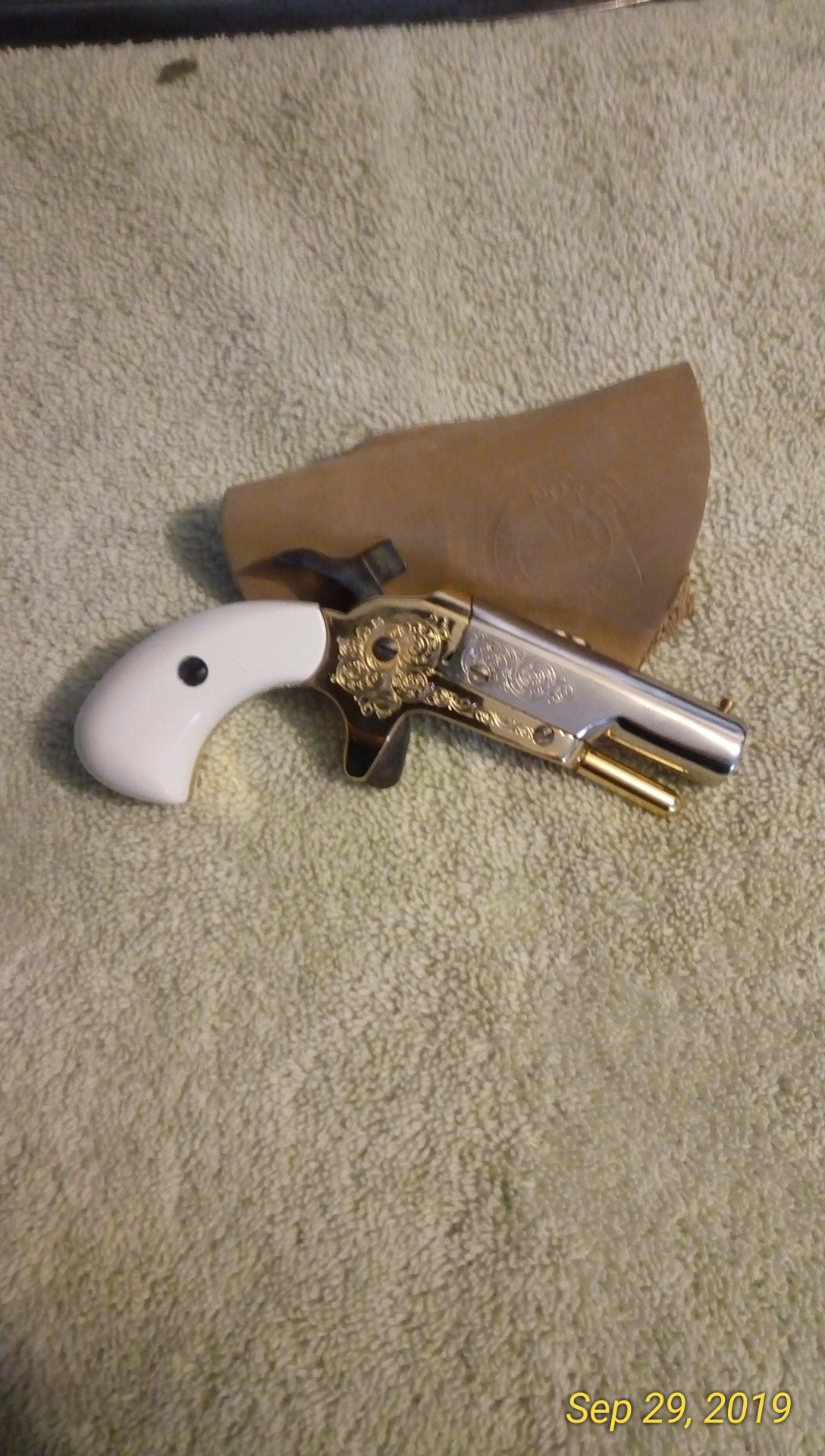 North American Arms Black Powder, Single Shot Derringer, Gold/Silver ...