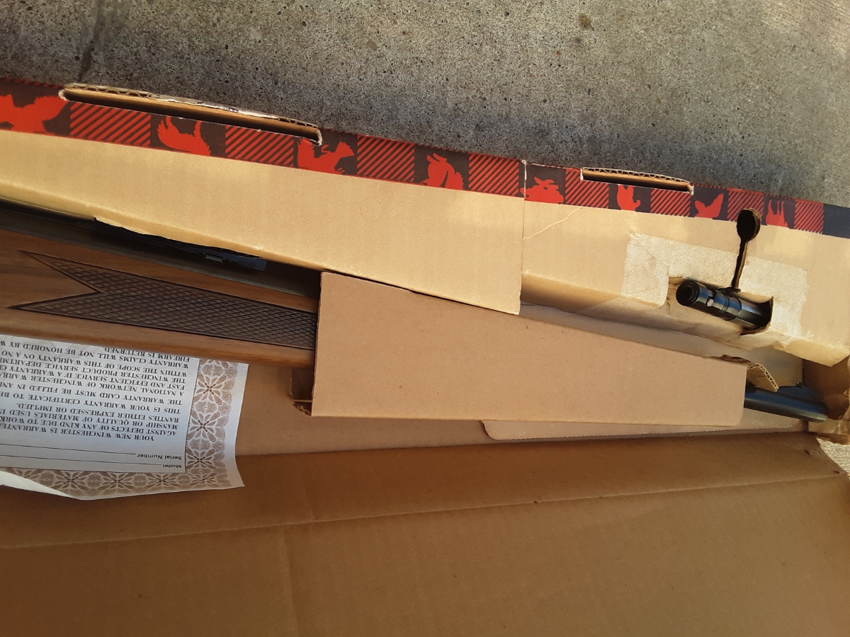 Winchester Model 310 (New In Box) .22 Lr For Sale at GunAuction.com ...