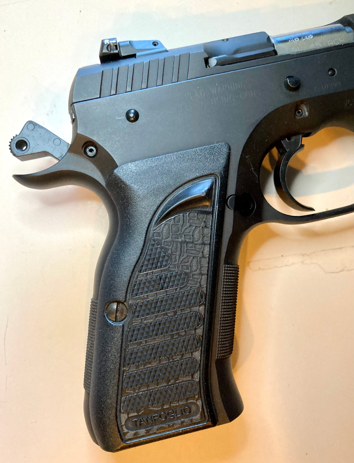 Tanfoglio EAA WITNESS .45 ACP PISTOL 10 RD MAGAZINE, ADJUSTABLE SIGHTS ...