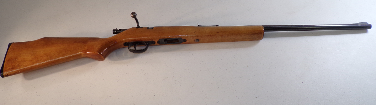 Marlin Model 25n (Ap1046140) .22 Lr For Sale at GunAuction.com - 16828164