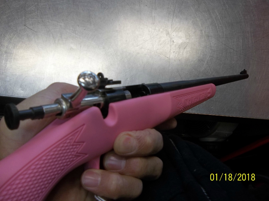 Crickett Firearms My First Rifle "Pink" .22lr .22 Lr For Sale at ...
