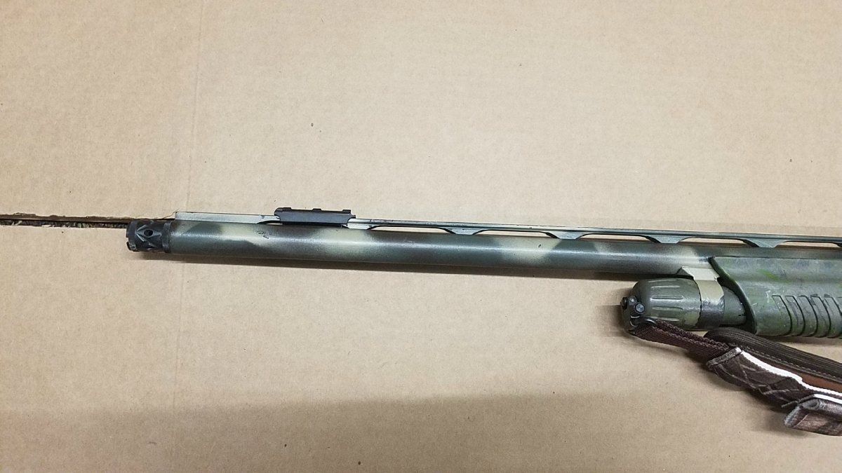 Stoeger P350 12 Gauge Pump Shotgun Custom Paint Job 12 Ga For Sale at ...