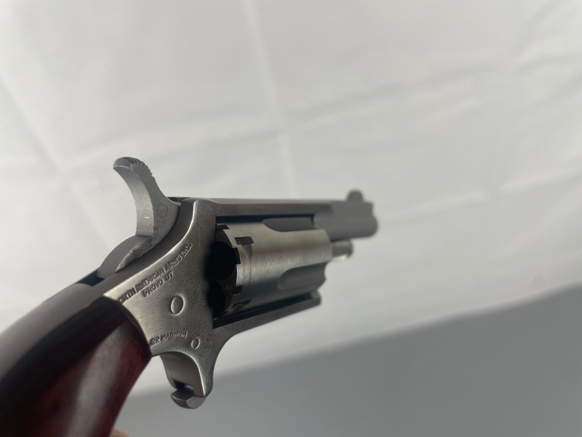 North American Arms Stainless .22 Magnum NAA Revolver 17272353 ...