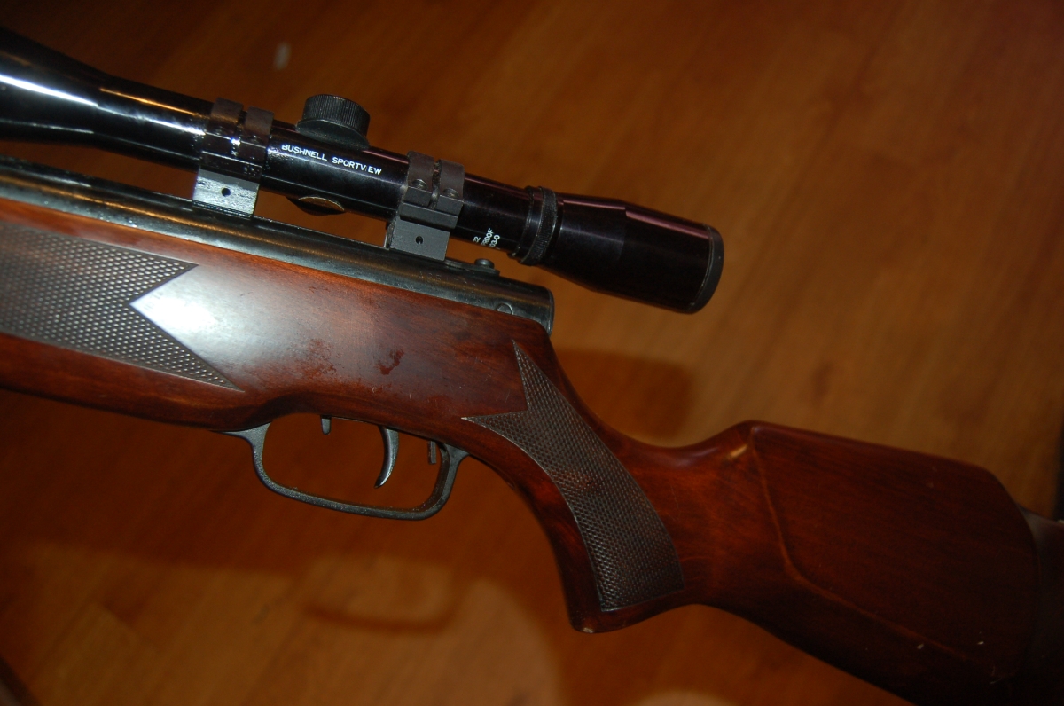 Tech Force Model 99, 177 Cal, With Bushnell Sportview 4 X 32 Scope .177 ...