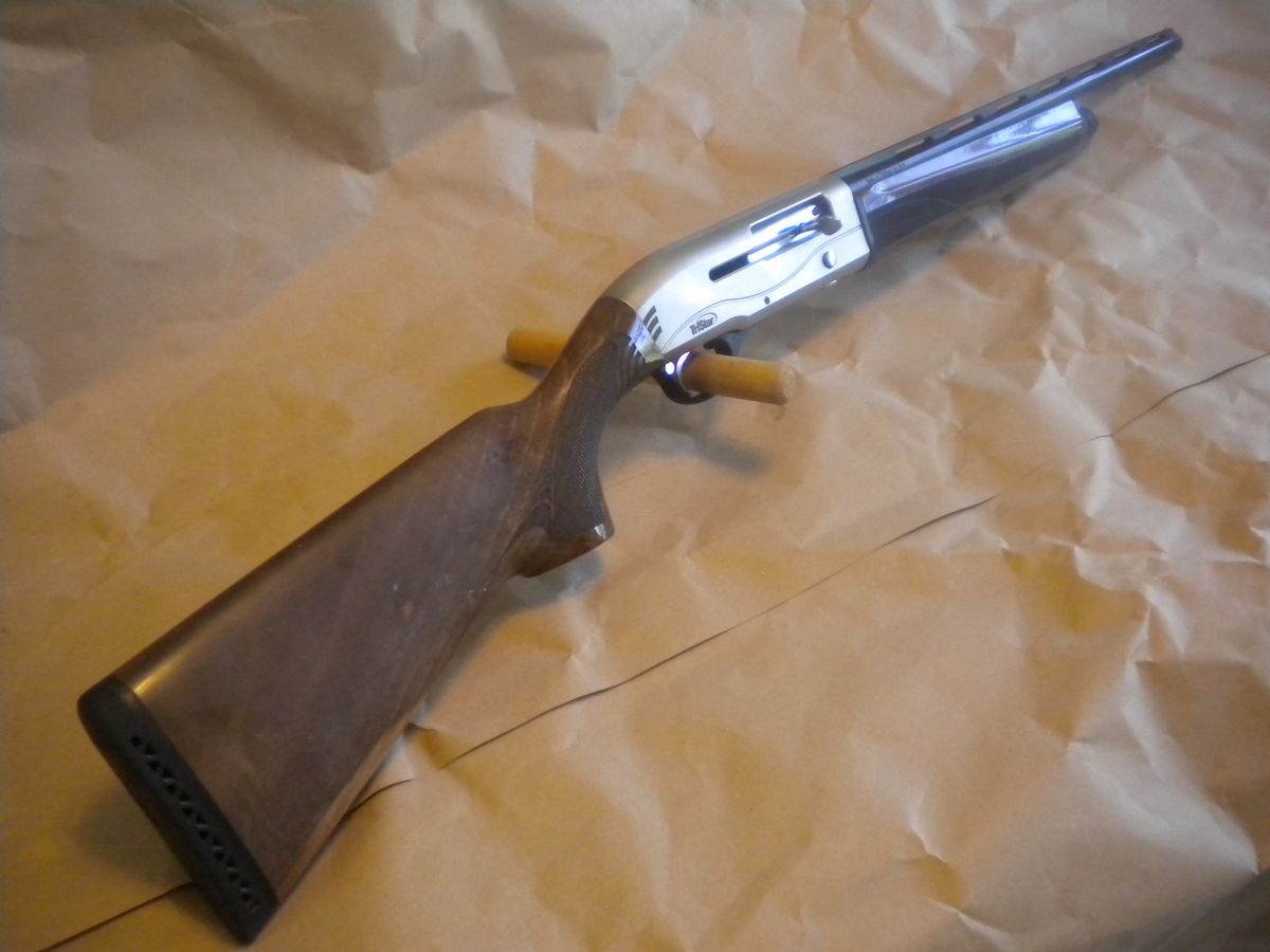 Tristar Arms Raptor Silver 20 Gauge Semiauto Shotgun 20 Ga For Sale at ...