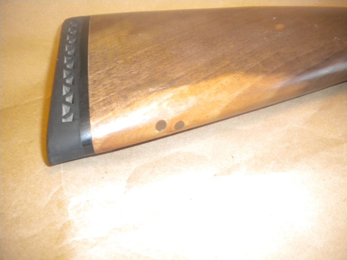 Tristar Arms Raptor Silver 20 Gauge Semiauto Shotgun 20 Ga For Sale at ...