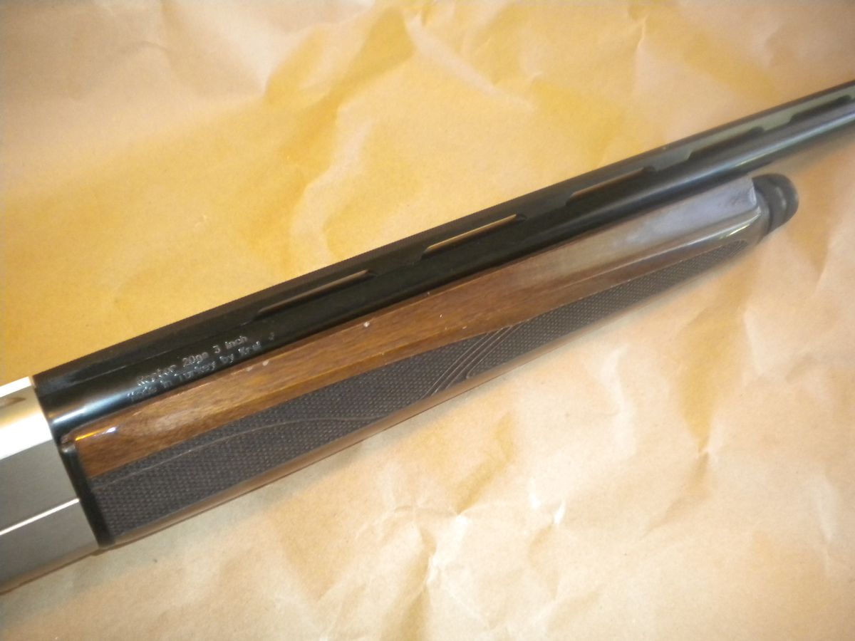 Tristar Arms Raptor Silver 20 Gauge Semiauto Shotgun 20 Ga For Sale at ...