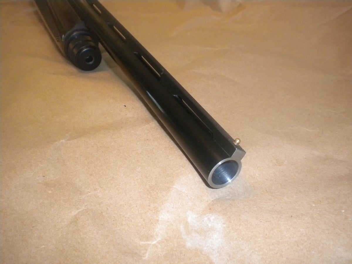 Tristar Arms Raptor Silver 20 Gauge Semiauto Shotgun 20 Ga For Sale at ...