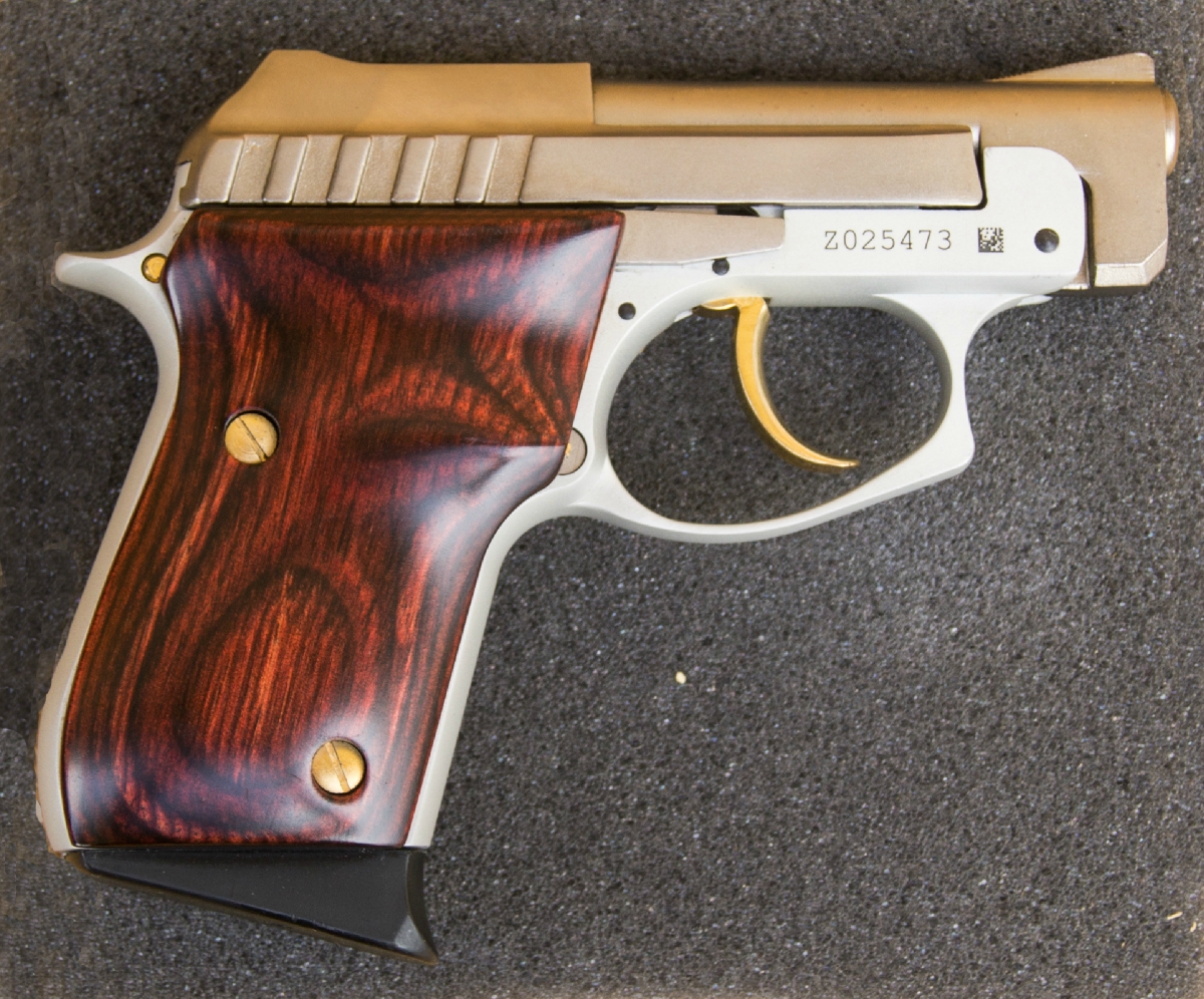Taurus Model Pt-22 Nickel/Gold Accent Tip Up Design Semi Auto Pistol ...