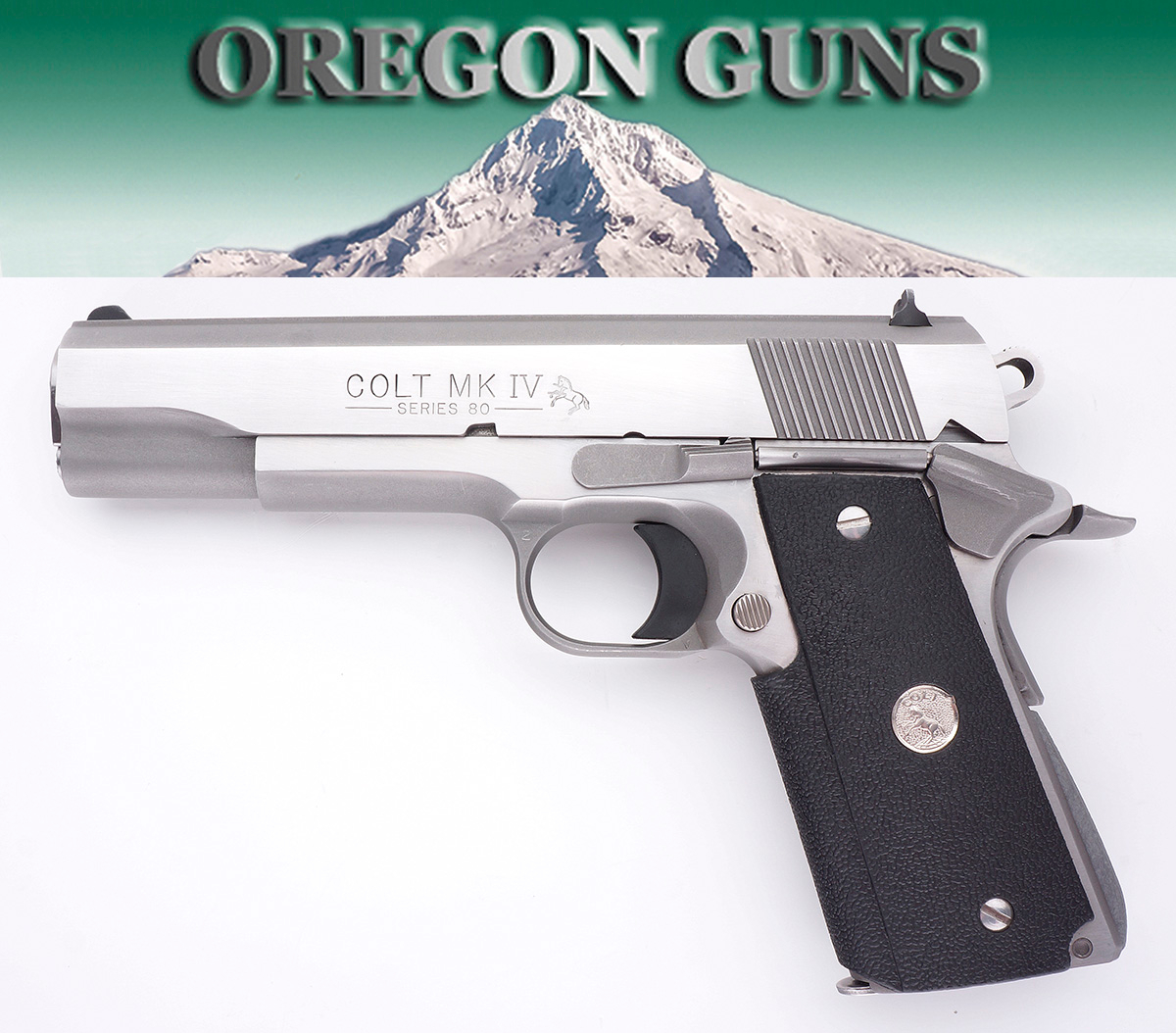 Colts Manufacturing Company Colt Government Enhanced Model Stainless ...