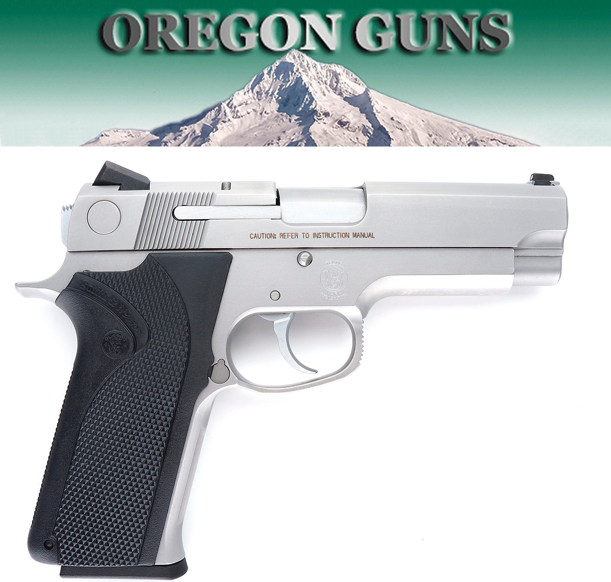 Smith & Wesson S&W MODEL 1076 STAINLESS STEEL SEMIAUTO 10 MM PISTOL ...