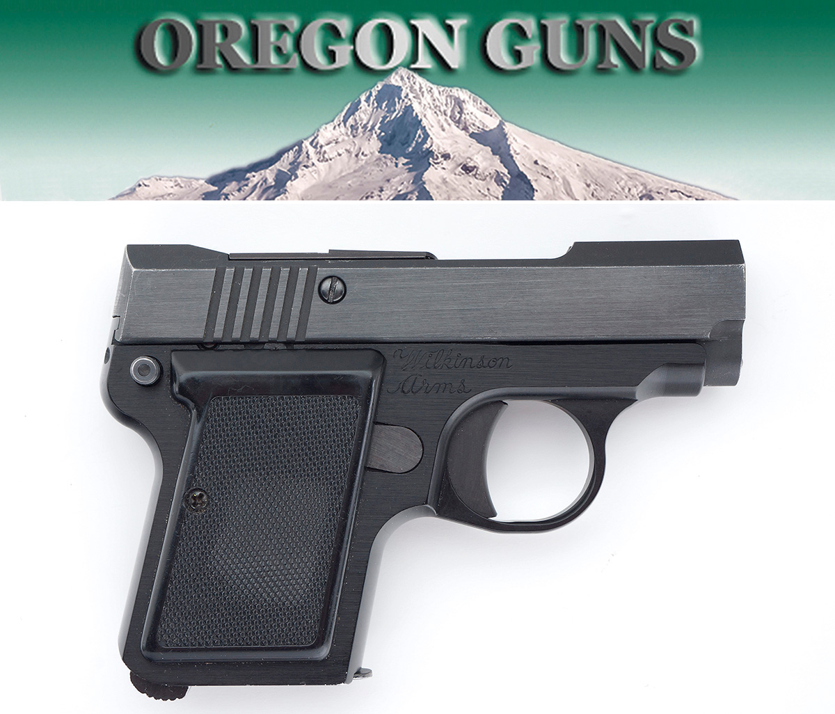 Wilkinson Arms Black Sherry Semiauto .22 Lr Handgun In Excellent ...