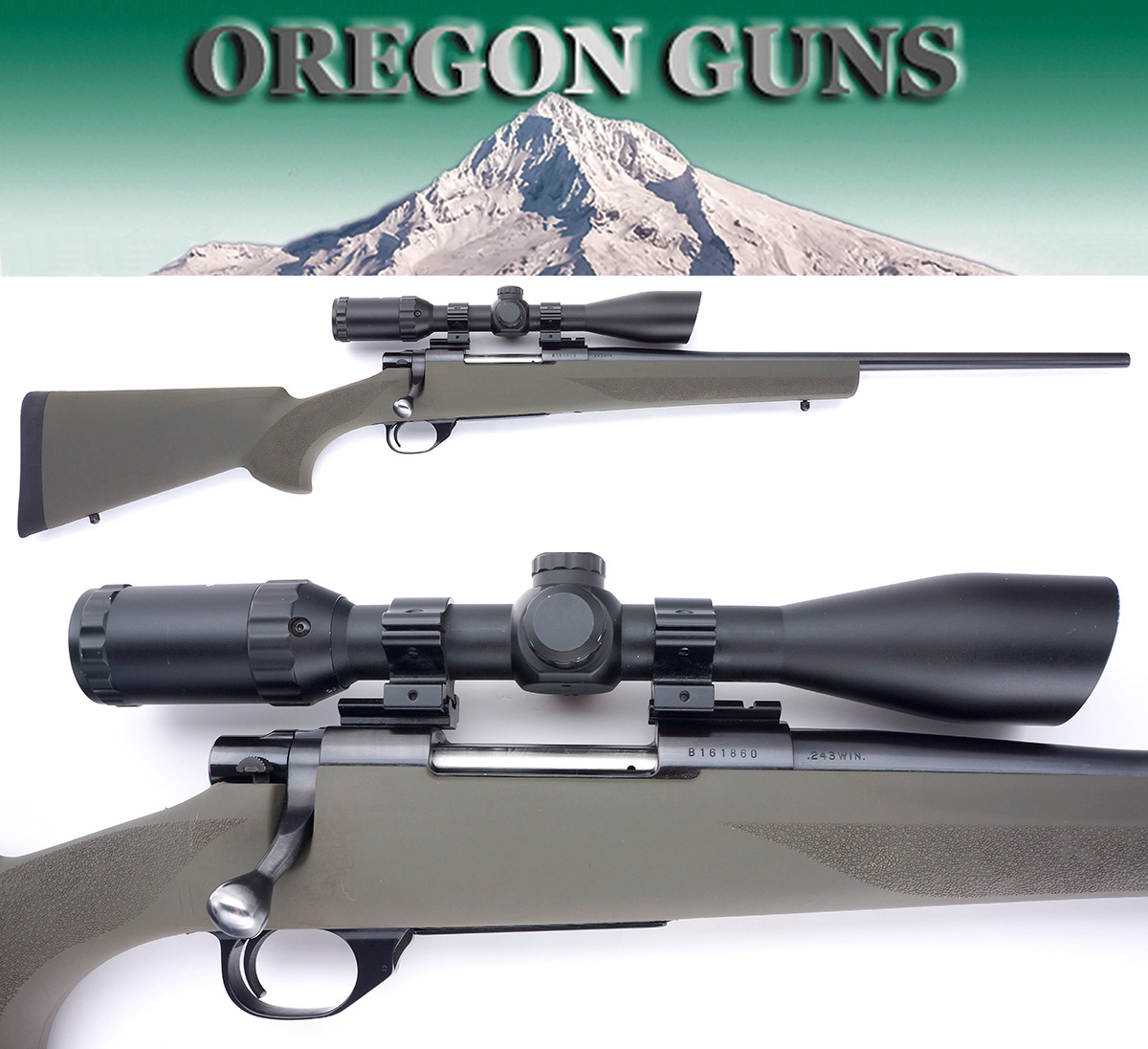 Howa Model 1500 Hodge Bolt Action Rifle .243 Winchester With Scope Sn ...