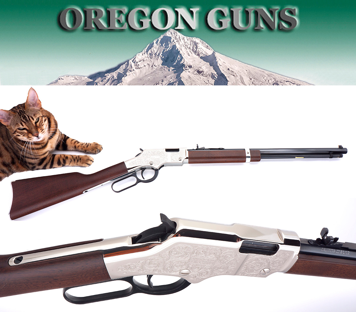 Henry Repeating Arms Co. Silver Eagle Hexagon Barrel Lever Action 22 ...