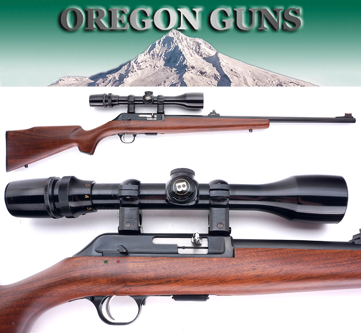 Thompson Center Arms R55 22 CLASSIC SEMIAUTO .22 LR RIFLE WITH SCOPE SN ...