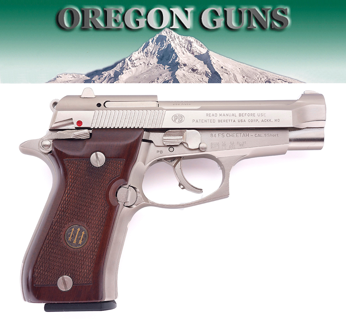 Beretta MODEL 84 FS (CHEETAH) STAINLESS STEAL SEMIAUTO .380 ACP PISTOL ...