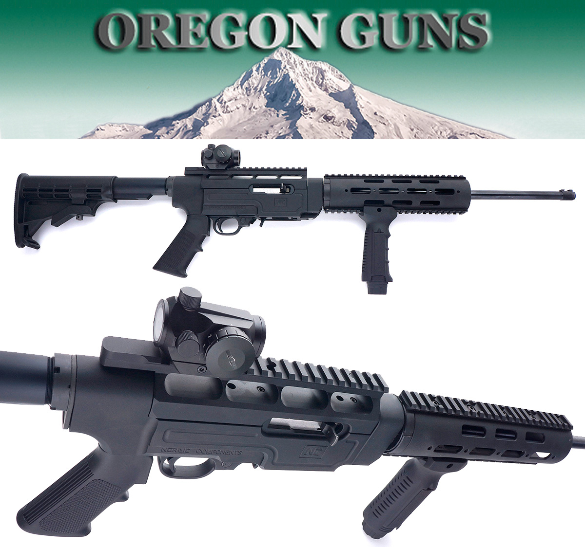 Ruger 10/22 Semiauto Carbine W/Nordic Components, Red Dot Scope .22 Lr ...