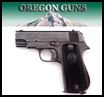 OREGON GUNS Auctions At GunAuction.Com