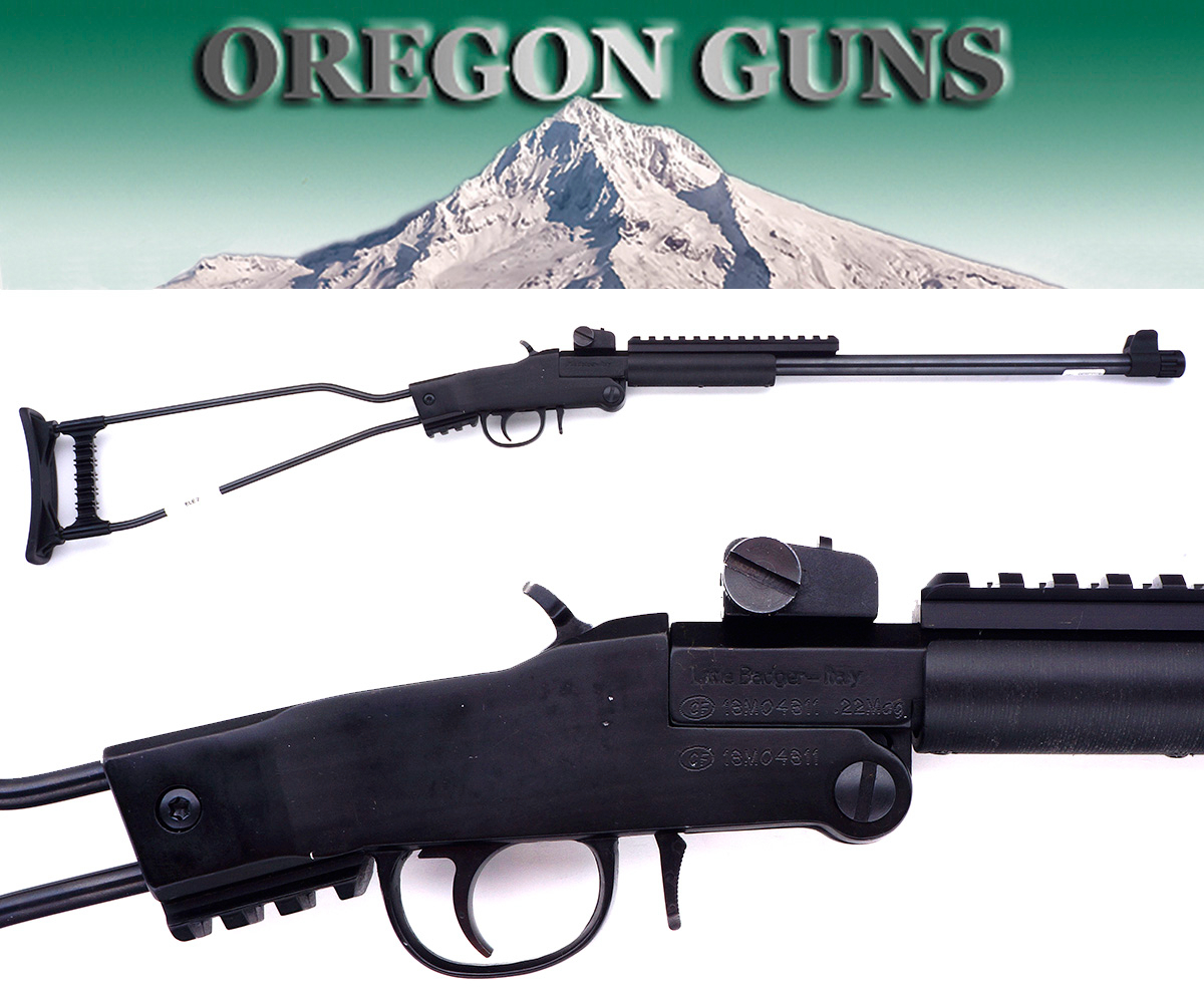 Chiappa Little Badger Single Rifle .22 Cal Sn# 18m04811 .22 Magnum For ...