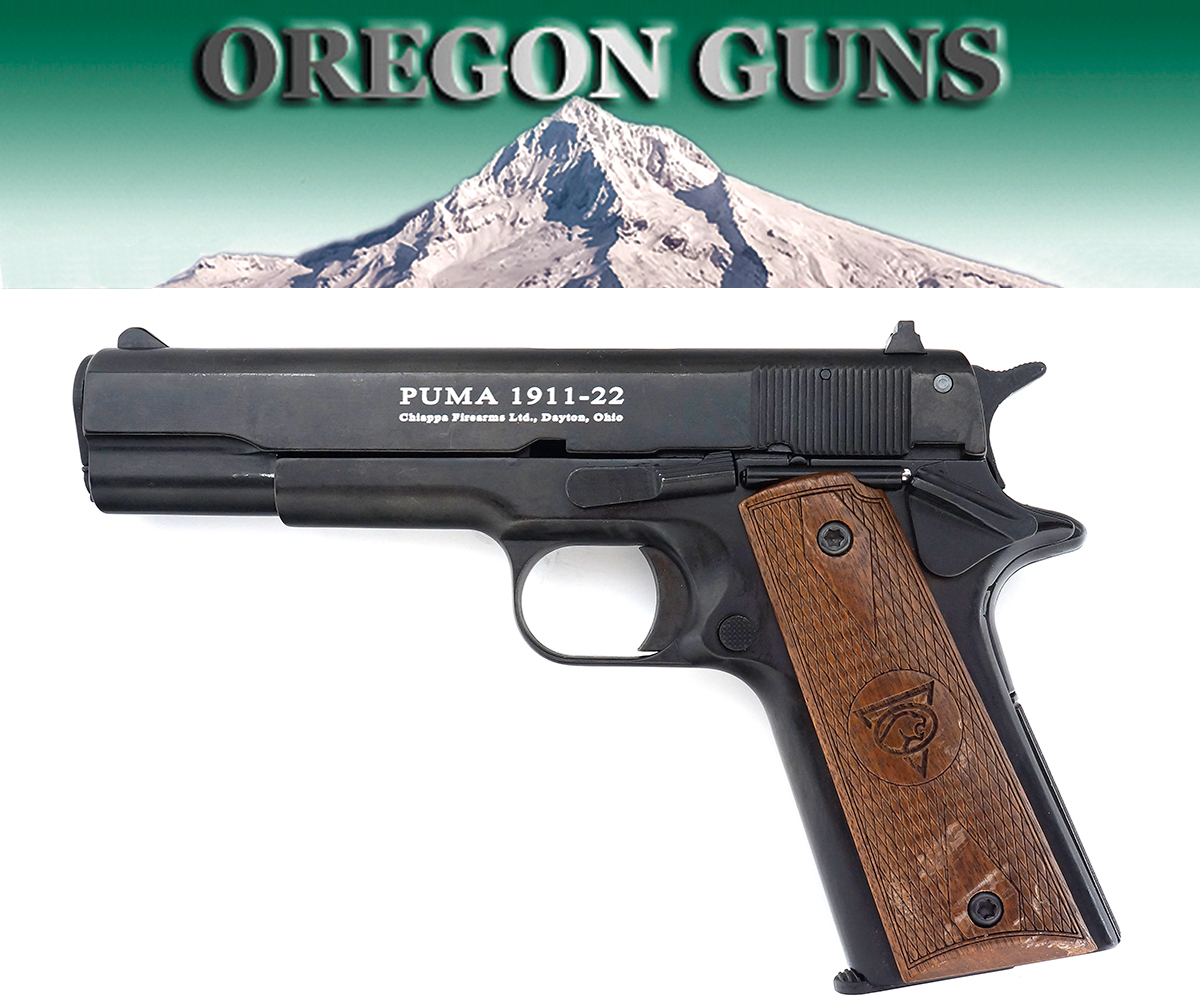 Puma Firearms MODEL 1911-22 SEMIAUTO .22 LR HANDGUN SN# D25387 17315746 ...